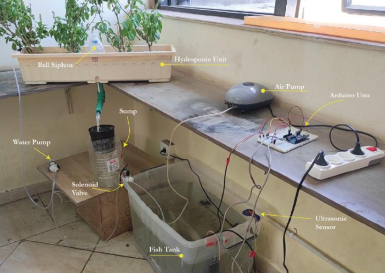 Capstone Guide - Hazem Moghni